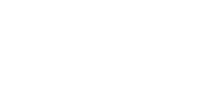 Salesforce Sales and Service Automation for Xsight Labs